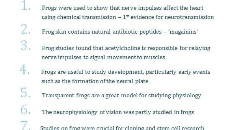 Frog 10 facts :: Understanding Animal Research