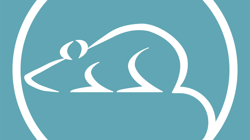 UAR Oceania Annual Report and Accounts 2023-2024 :: Understanding ...