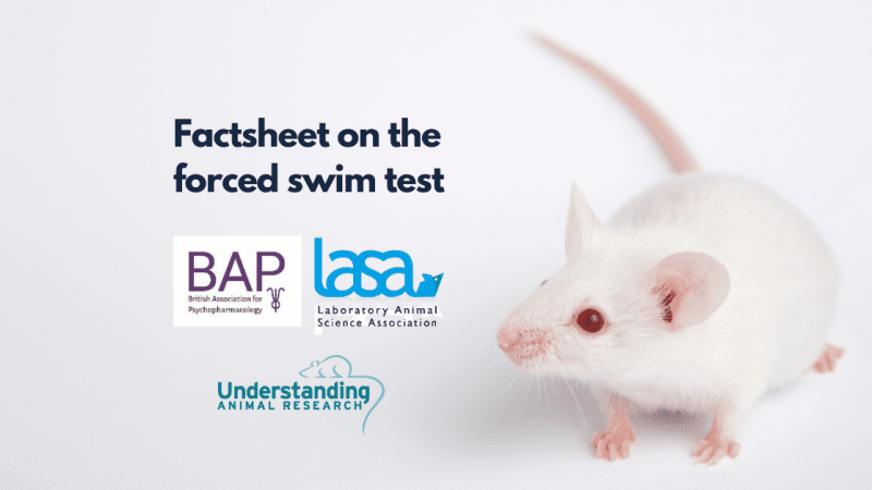 Forced swim test factsheet :: Understanding Animal Research