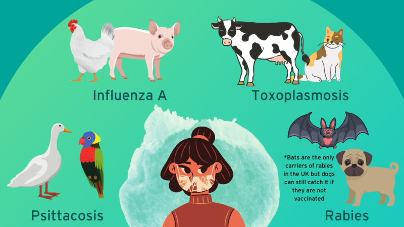 zoonoses - diseases that move from species to species