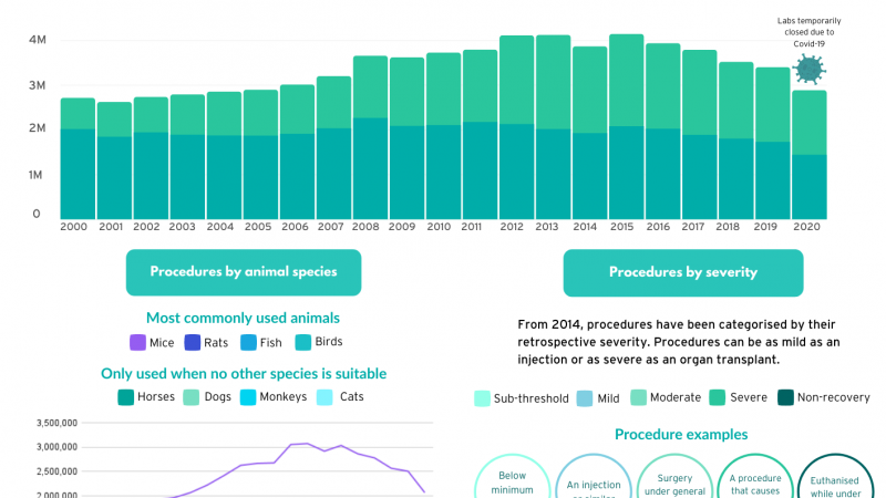 20 years of animal research